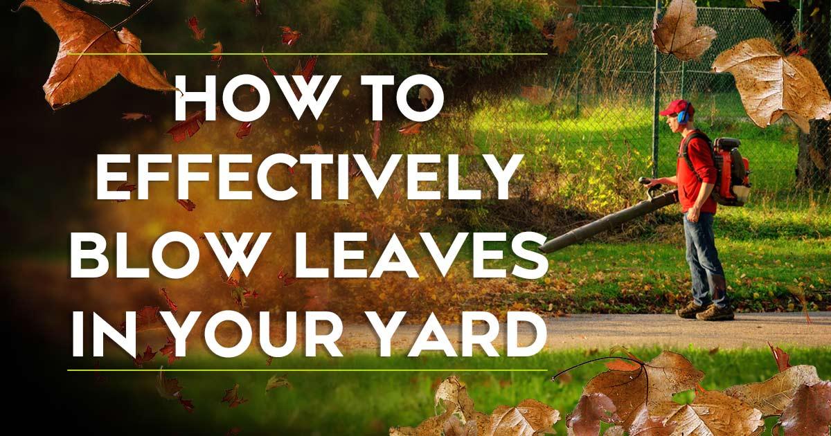 How to Properly Blow Leaves in Your Yard