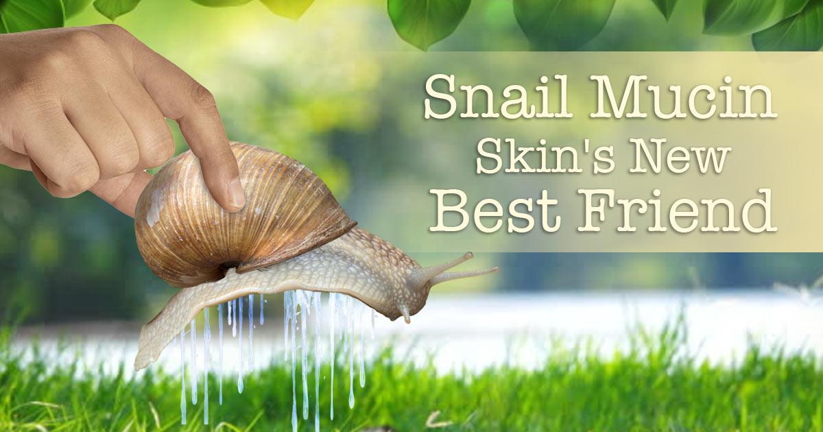What is snail mucin, and why is it in your skincare?