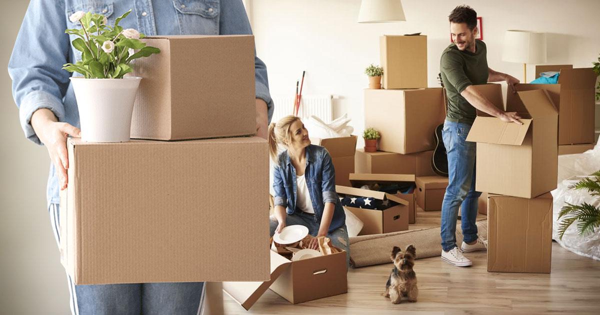 Move-In Timelines: A Quick Guide